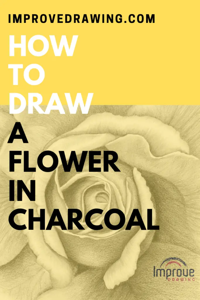 How To Draw A Flower In Charcoal – Improve Drawing
