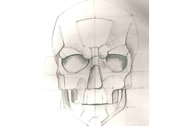 How To Practice Drawing Anatomy: The Essential Guide – Improve Drawing