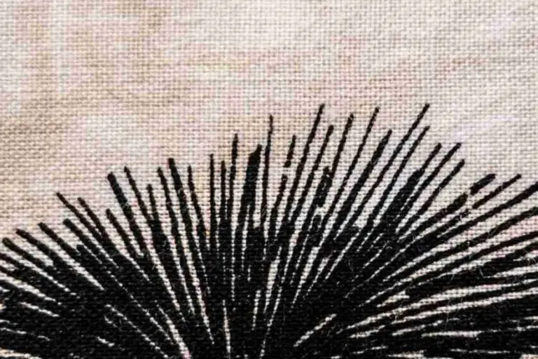 How to Draw with a Pencil on Canvas: 14 Expert Tips – Improve Drawing