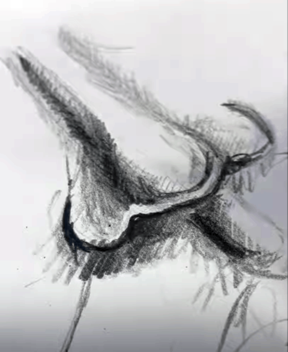 How to Draw a Nose From 5 Different Angles – Improve Drawing