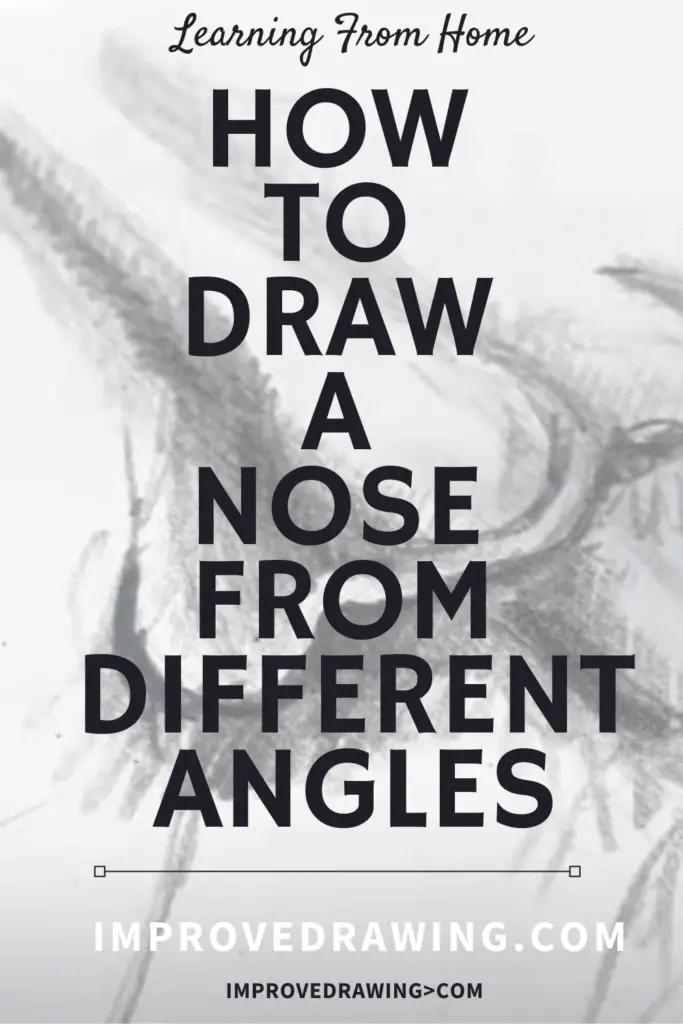 How to Draw a Nose From 5 Different Angles – Improve Drawing