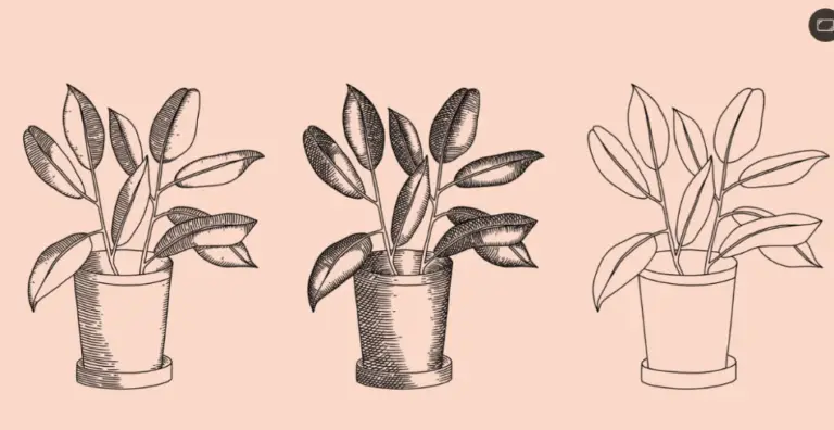 The 9 Best Digital Art Online Courses Improve Drawing