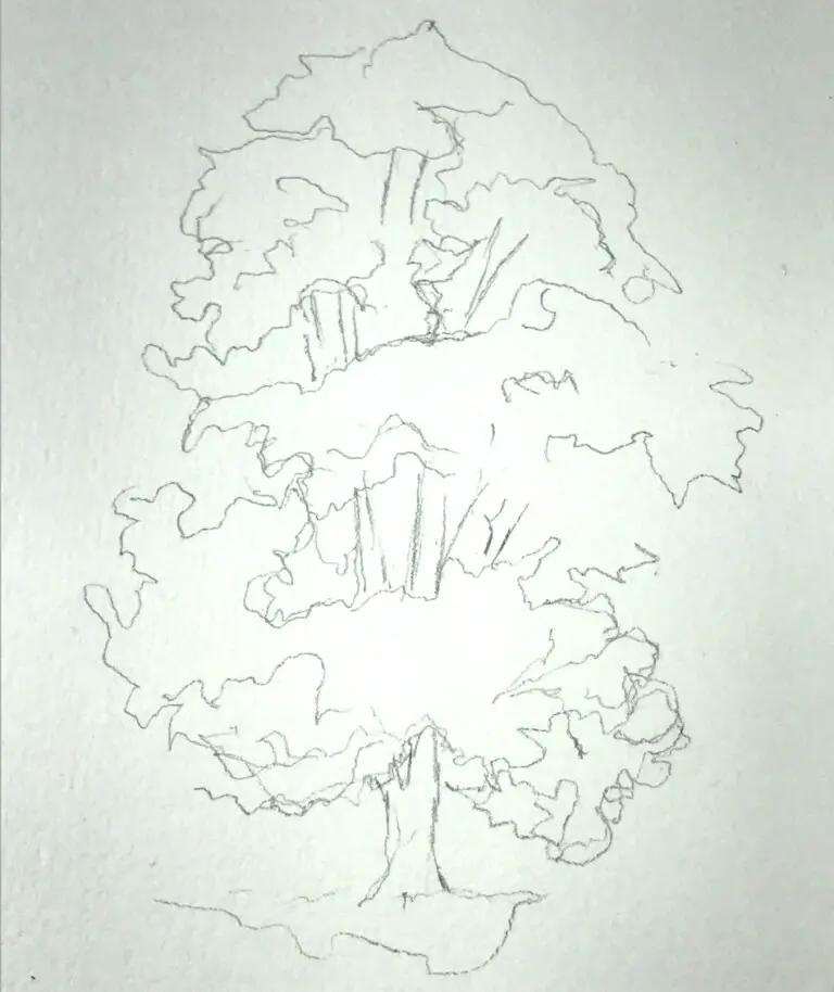 How to Draw a Tree in Watercolor Pencils - Improve Drawing