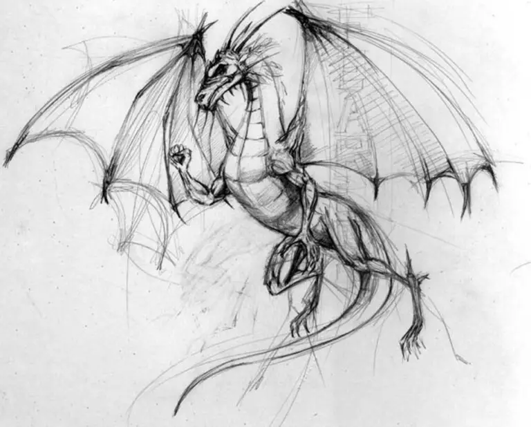How to Draw a Dragon – Improve Drawing