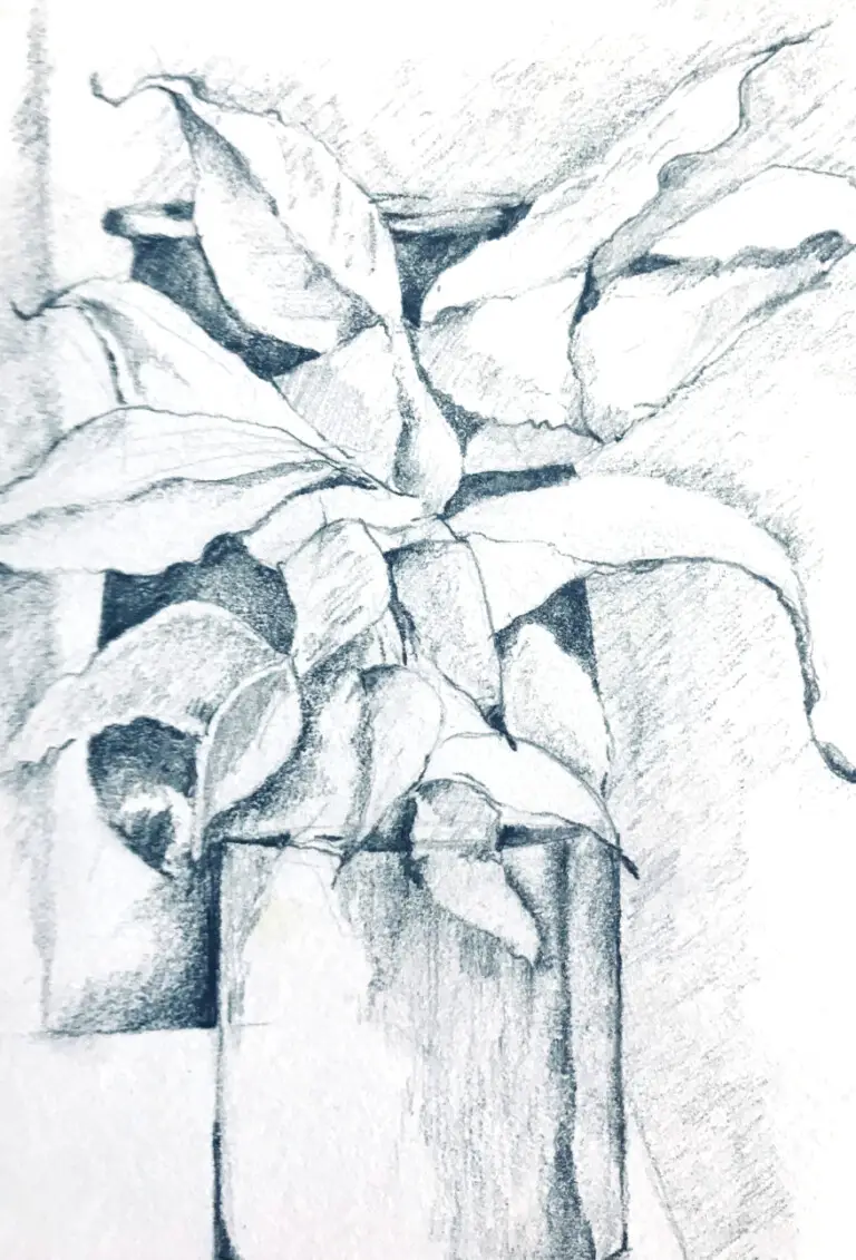 How to Sketch: A Complete Guide – Improve Drawing