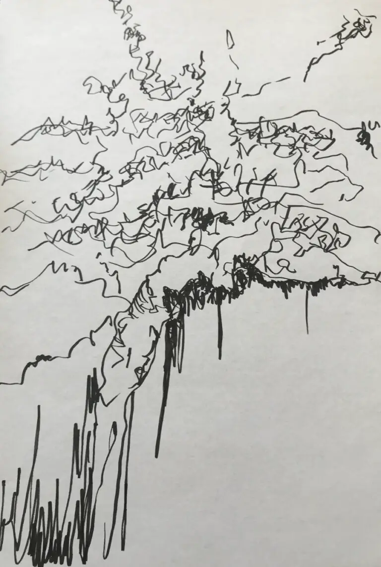 How to Sketch: A Complete Guide – Improve Drawing