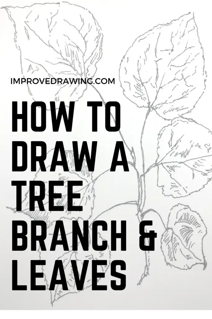 How To Draw A Tree With Branches And Leaves