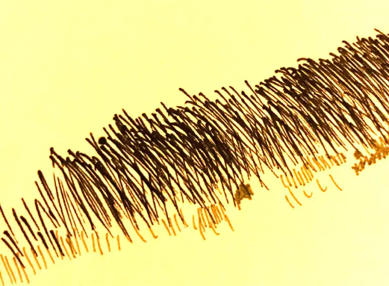 Drawing Grass with Pen and Ink - Improve Drawing