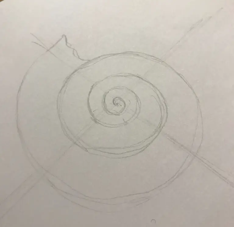 How to Draw an Ammonite – Improve Drawing