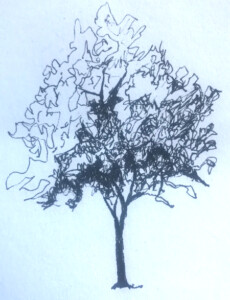 How to Do Continuous Line Drawing – Improve Drawing