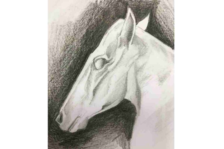 How To Add Color To A Graphite Drawing: The Complete Guide – Improve ...