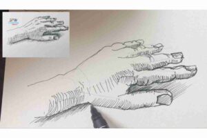 How to Draw a Hand Spread Out - Improve Drawing