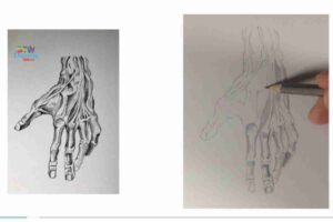 How to Draw a Hand Spread Out - Improve Drawing