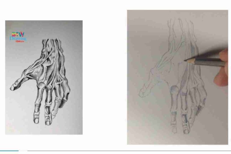 How to Draw a Hand Spread Out - Improve Drawing