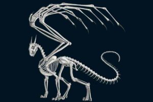 The Anatomy of a Dragon: What Every Fantasy Artist Needs to Know ...