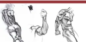 Online Figure Drawing Classes & Courses For Practicing At Home ...